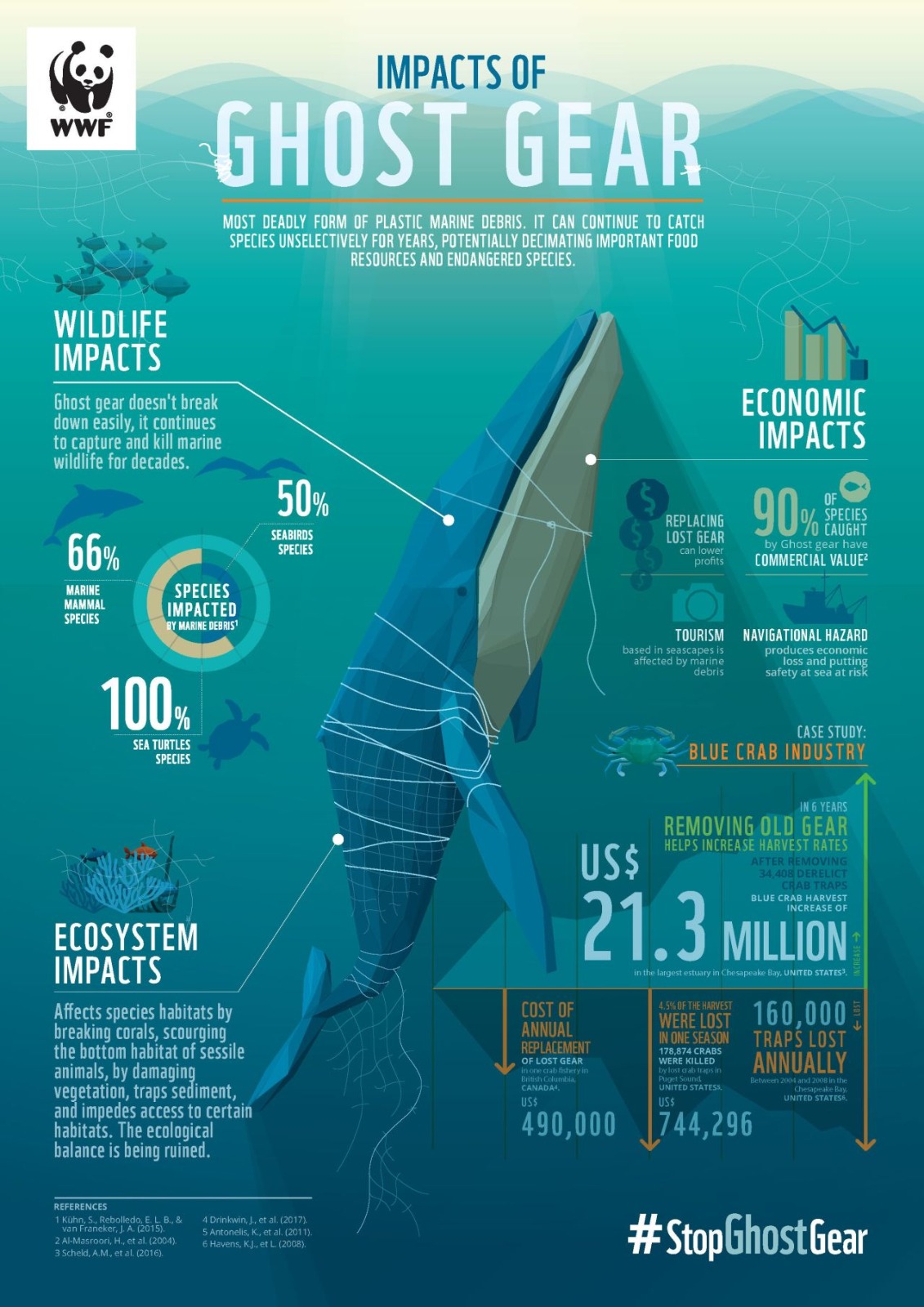 Impact of Ghost Gear