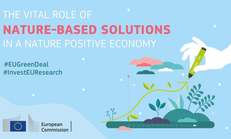 The Vital Role Of Nature-Based Solutions In A Nature Positive Economy
