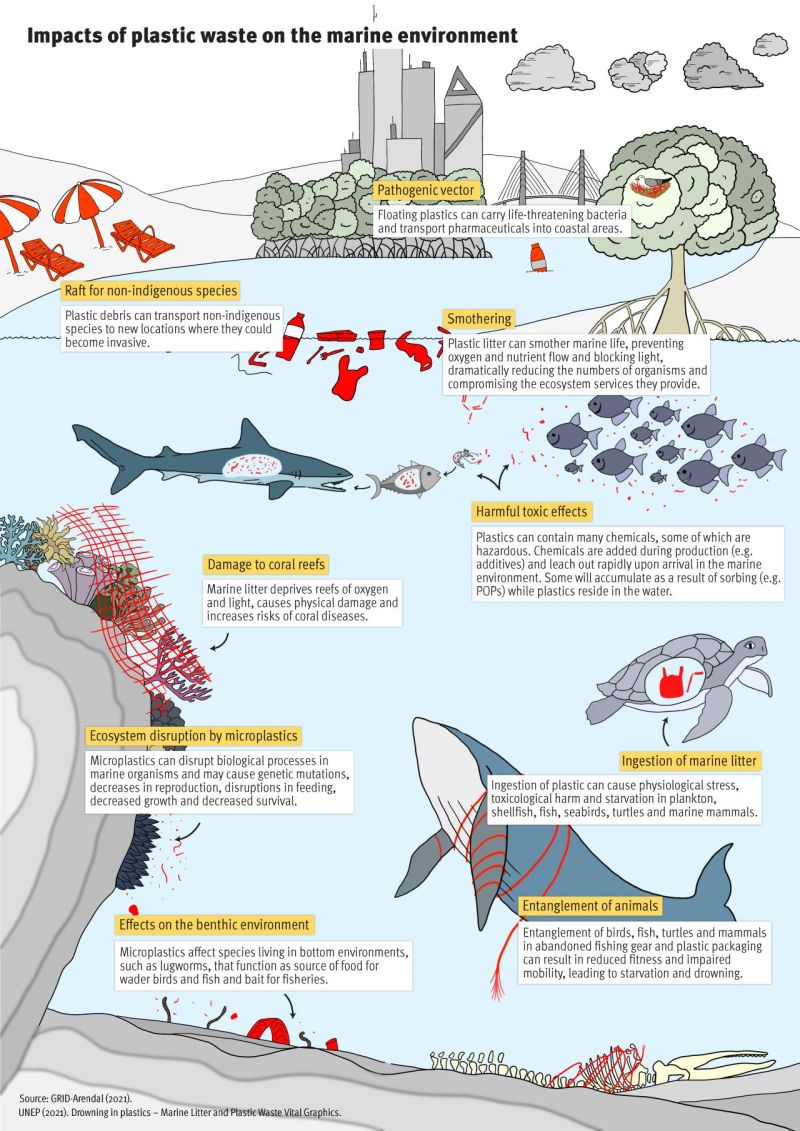 Plastic Waste Negatively Impacts