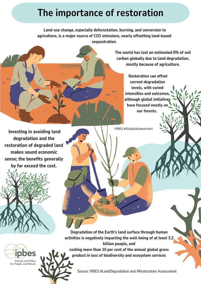 The Importance of Restoration