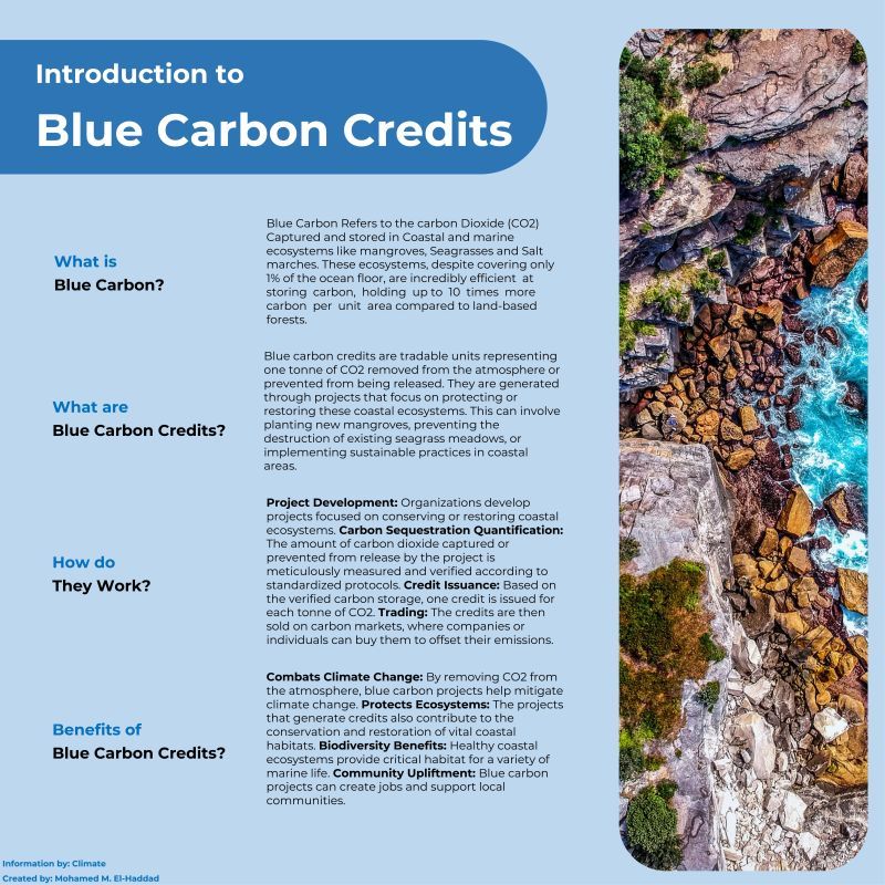Introduction to Blue Carbon Credits