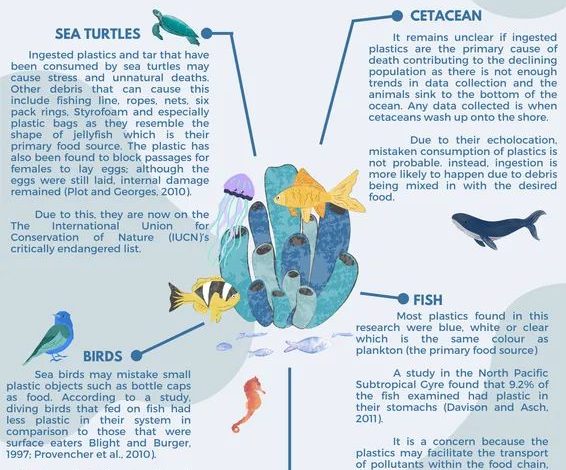 The hidden peril beneath the waves: plastic pollution and aquatic ...